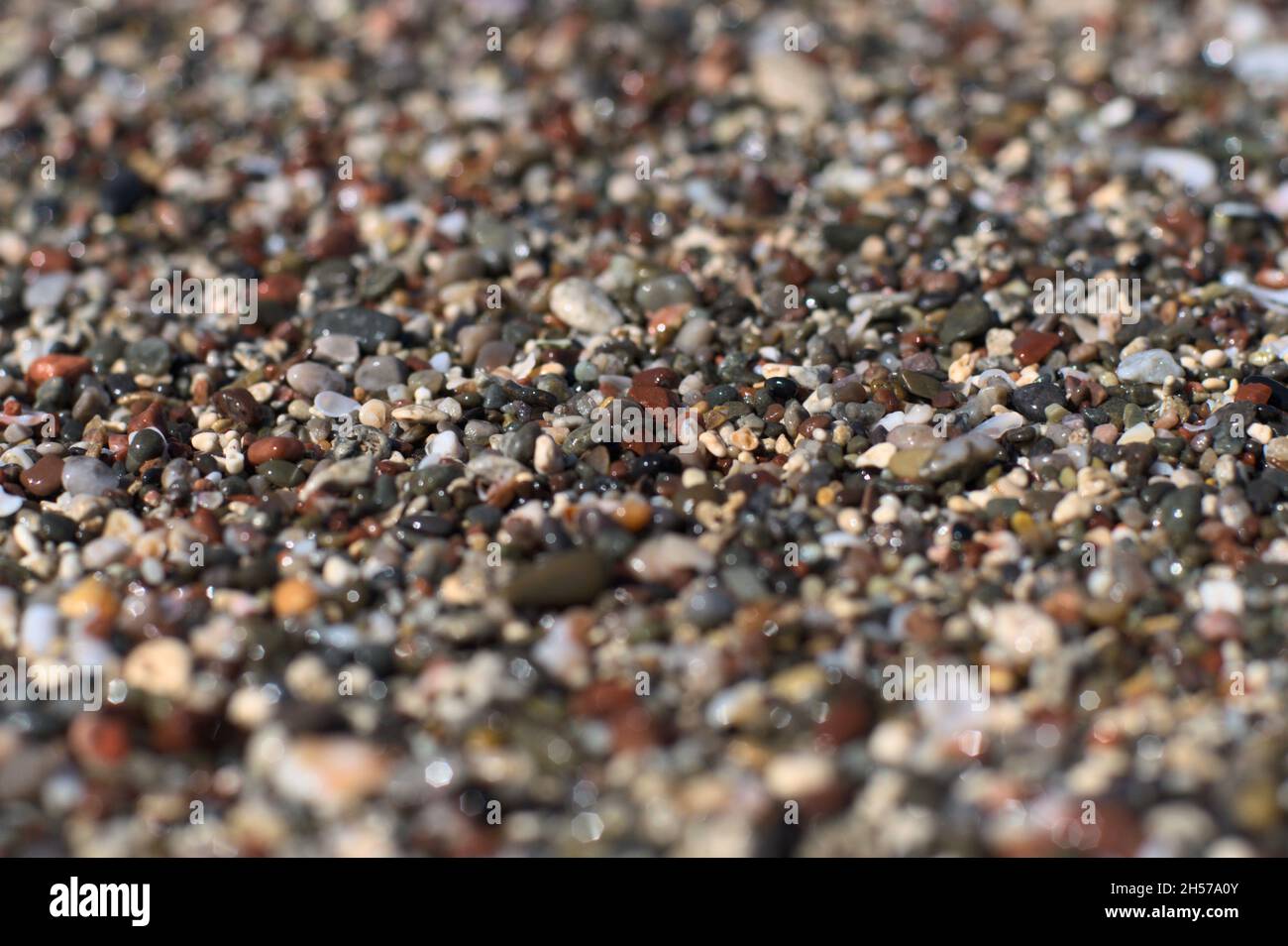 Sand of small pebbles and seashells on the beach.Close-up shot with ...