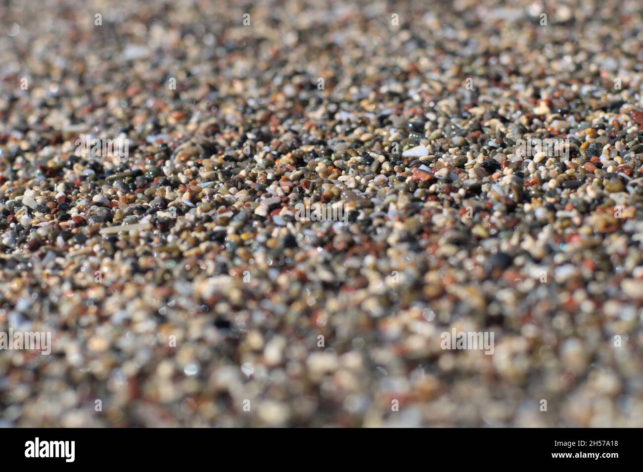 Sand of small pebbles and seashells on the beach.Close-up shot with ...