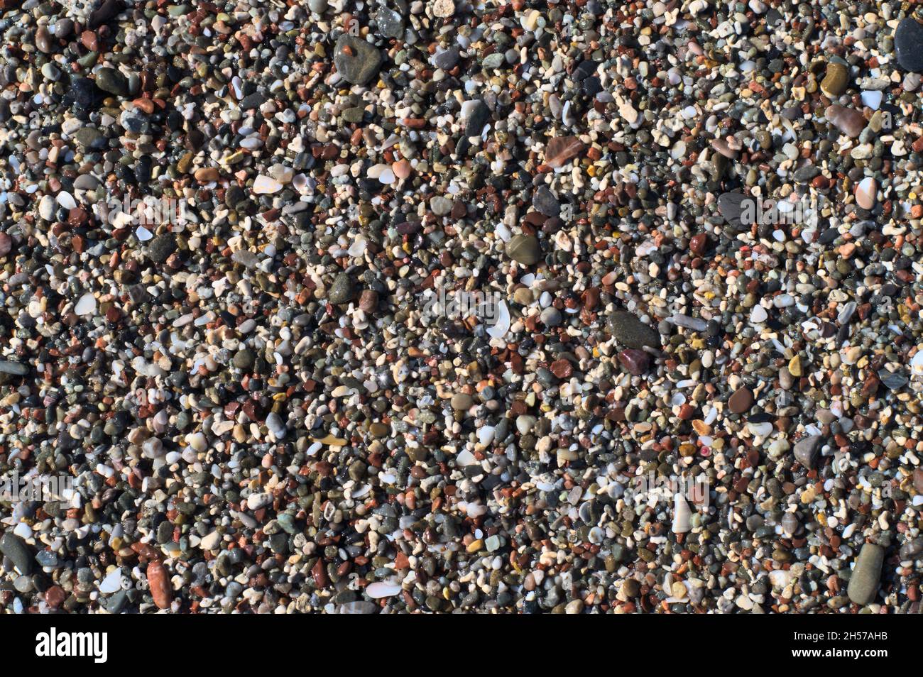 Sand of small pebbles and seashells on the beach Stock Photo - Alamy