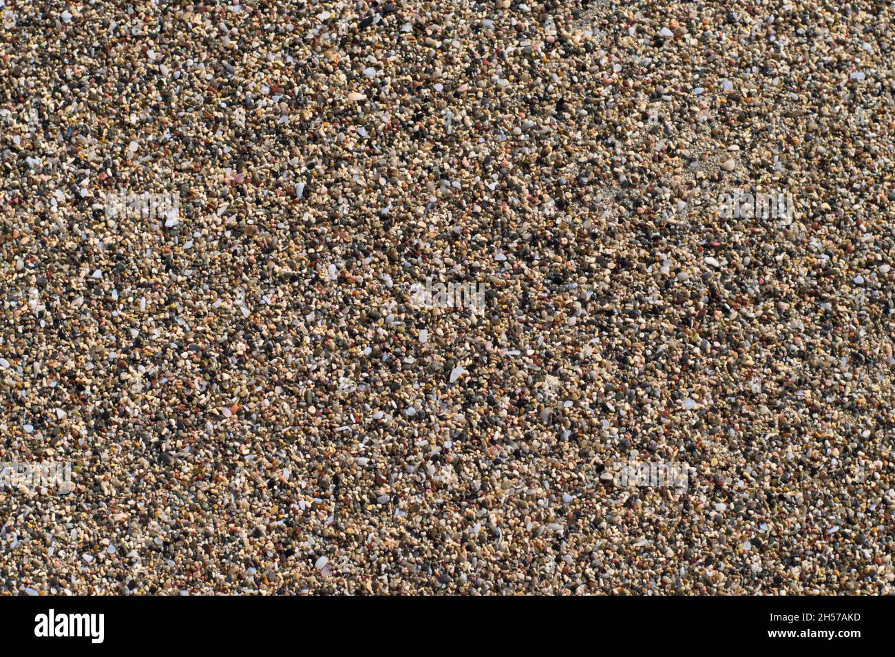 Sand of small pebbles and seashells on the beach Stock Photo - Alamy