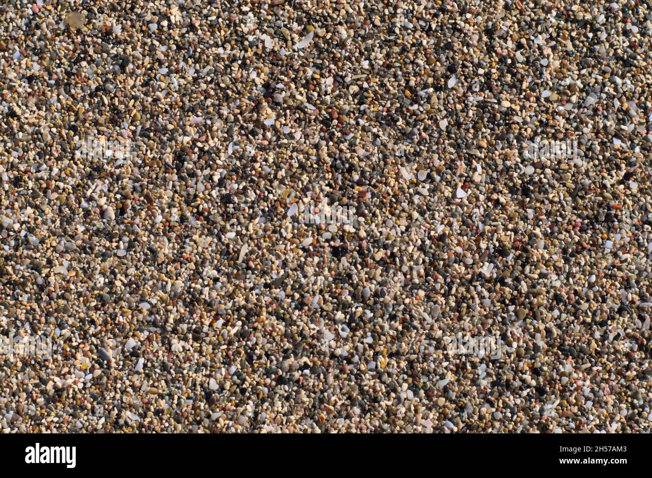 Sand of small pebbles and seashells on the beach Stock Photo - Alamy