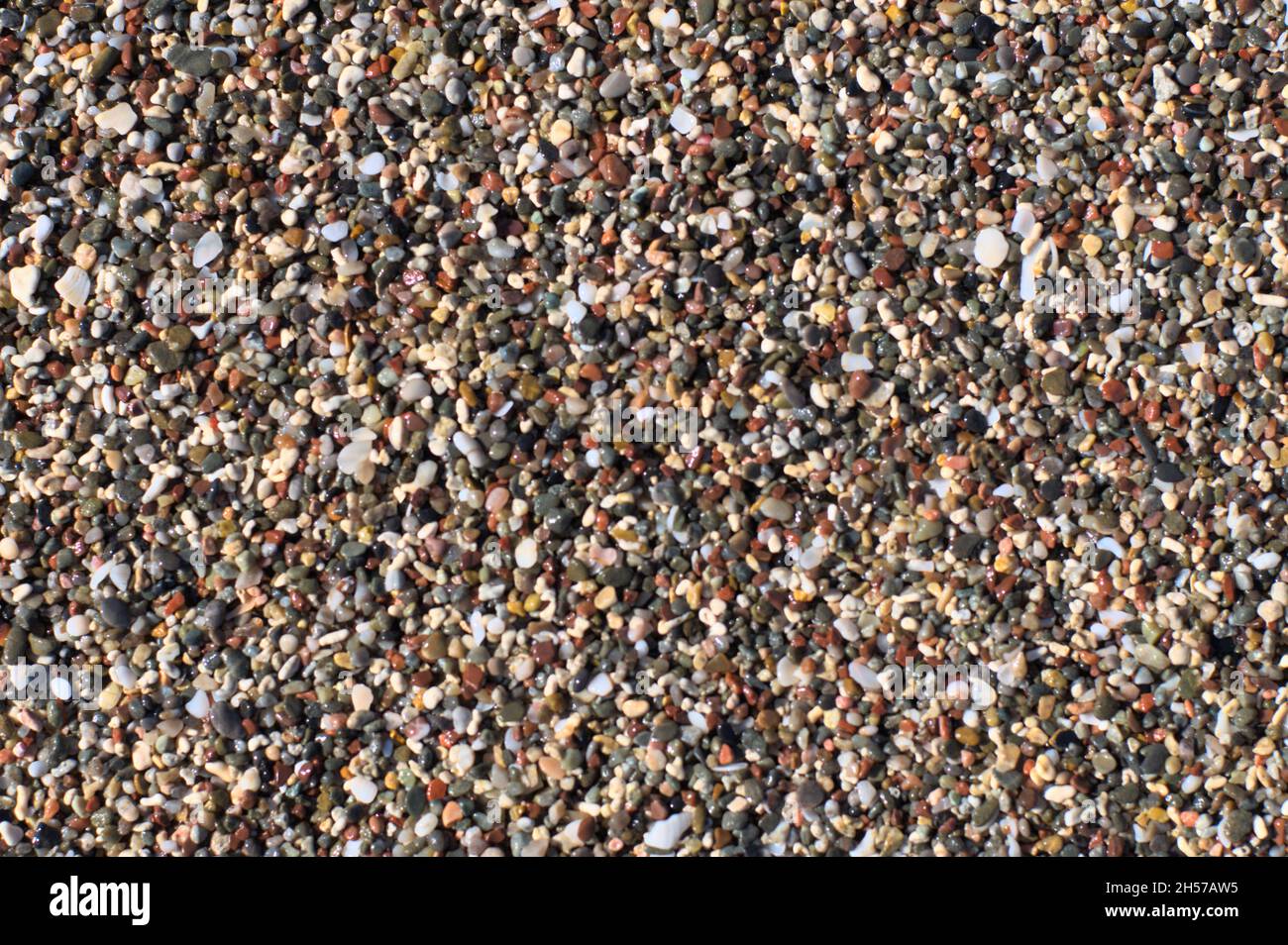 Sand of small pebbles and seashells on the beach Stock Photo - Alamy