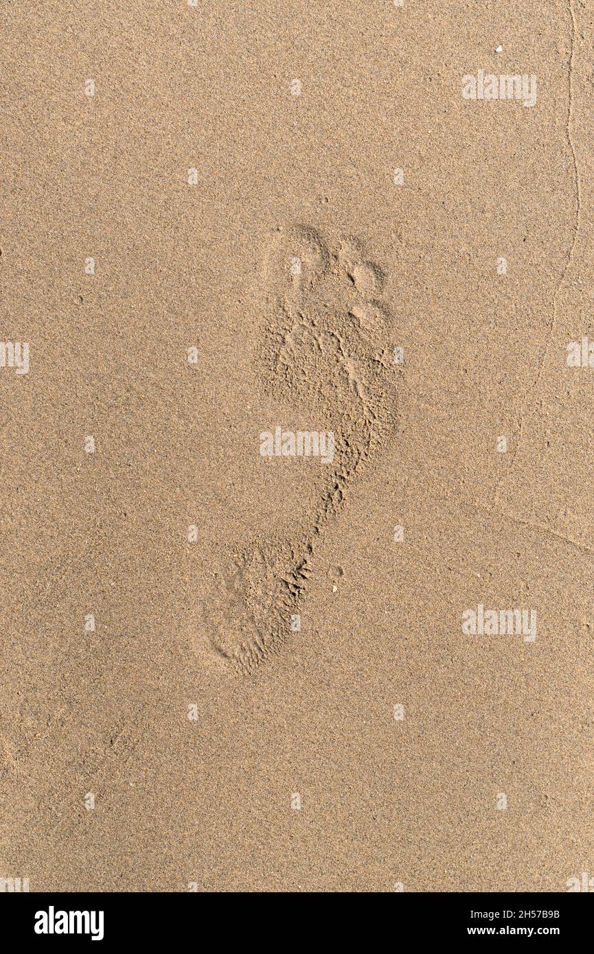 Foot stamp hi-res stock photography and images - Alamy