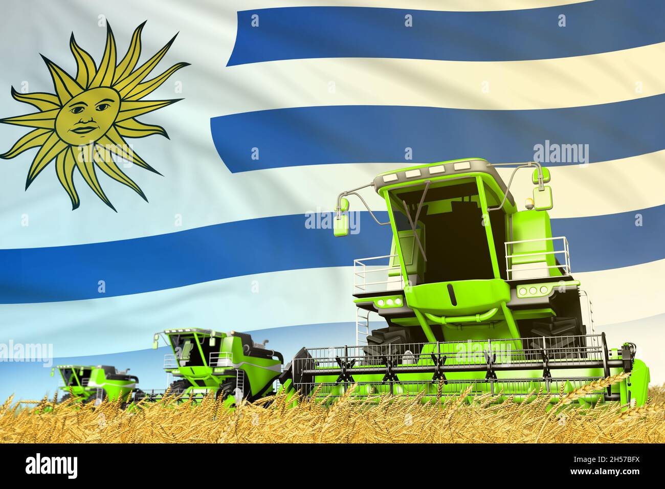 green grain agricultural combine harvester on field with Uruguay flag ...