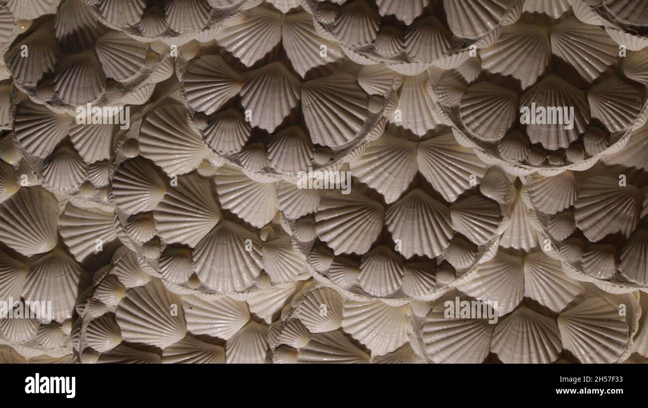 Sculpture made of shells hi-res stock photography and images - Alamy