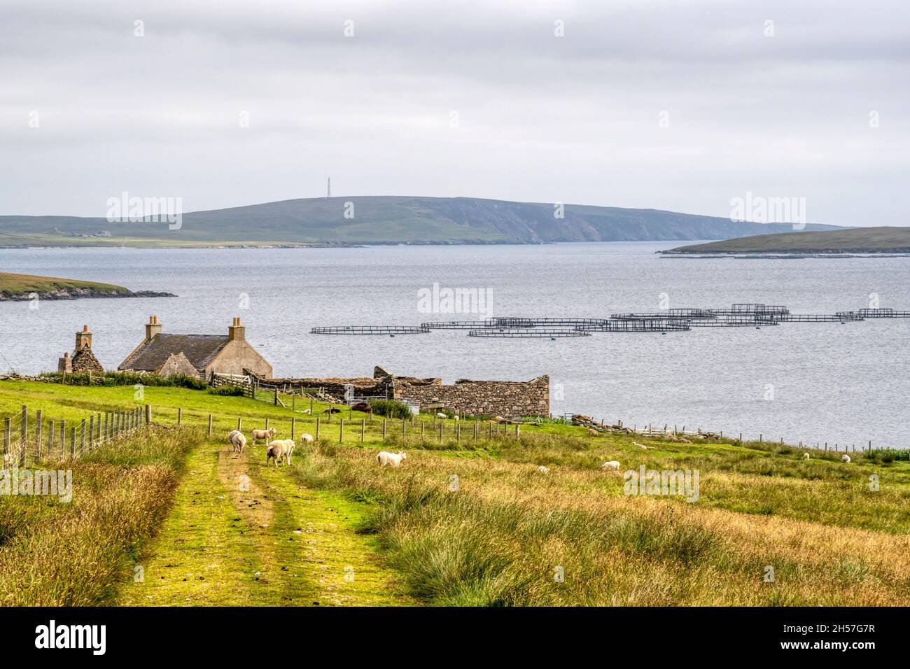 Fish farming cages in Basta Voe off Kirkabister on Yell, Shetland ...