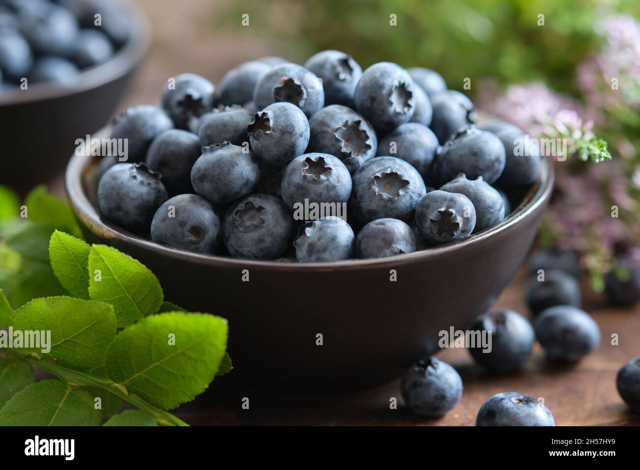 Huckleberries hi-res stock photography and images - Alamy