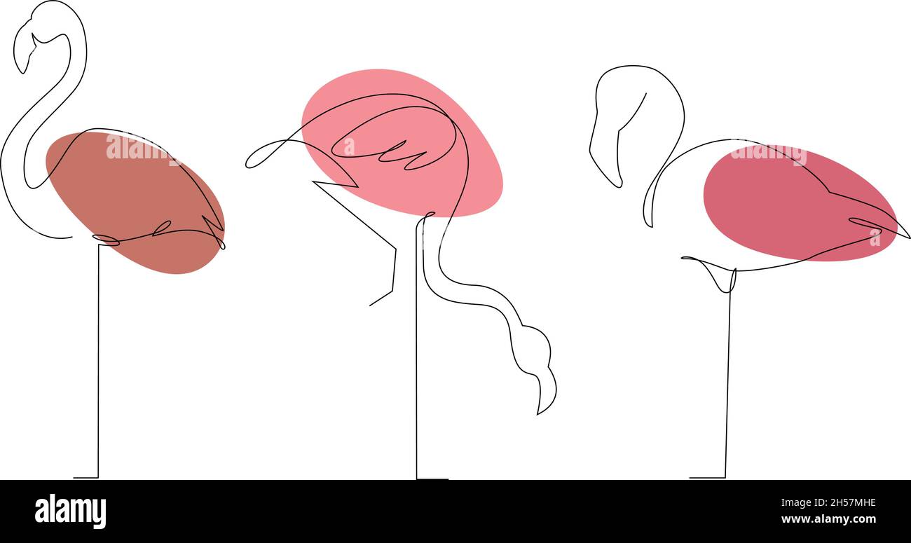 Pink Flamingo Line Drawing High Resolution Stock Photography and Images ...