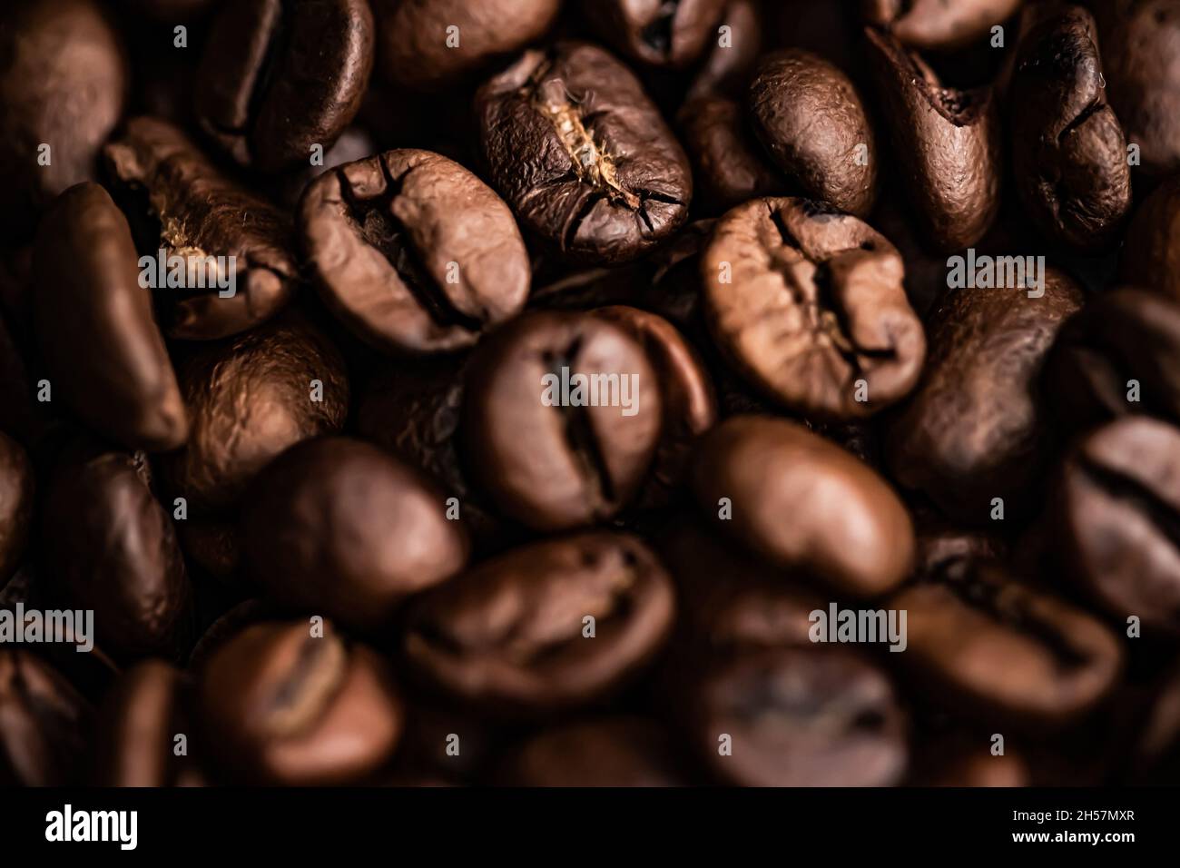 Coffee beans background, roasted signature bean with rich flavour, best ...