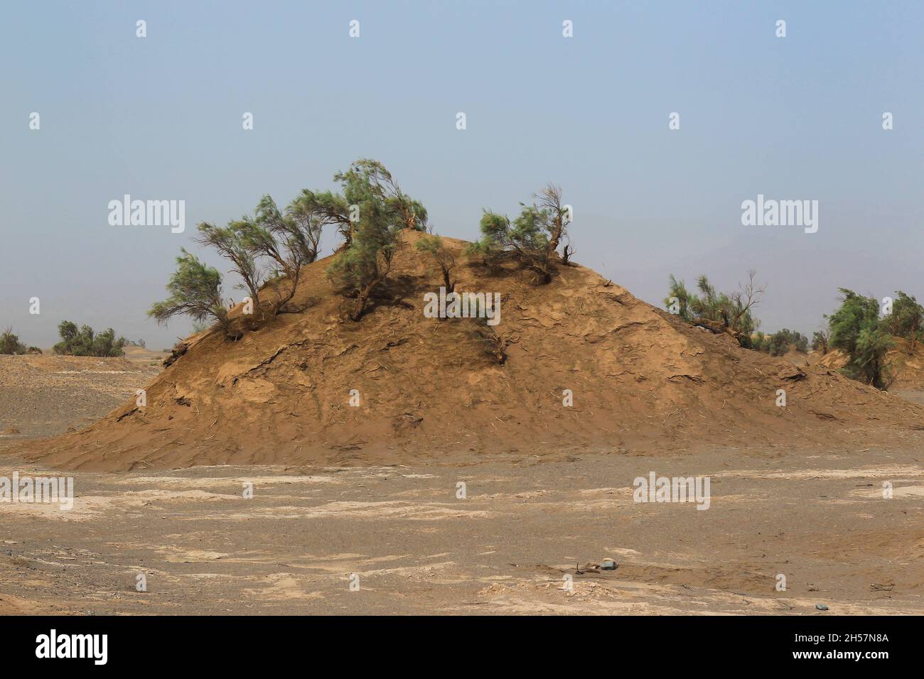 Nebka hi-res stock photography and images - Alamy