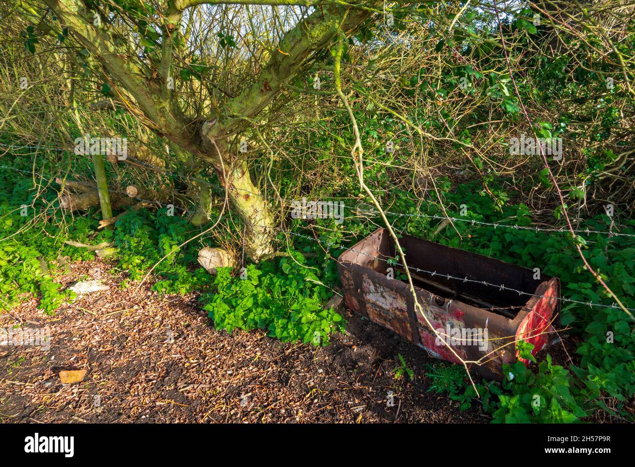 Old water trough hi-res stock photography and images - Alamy