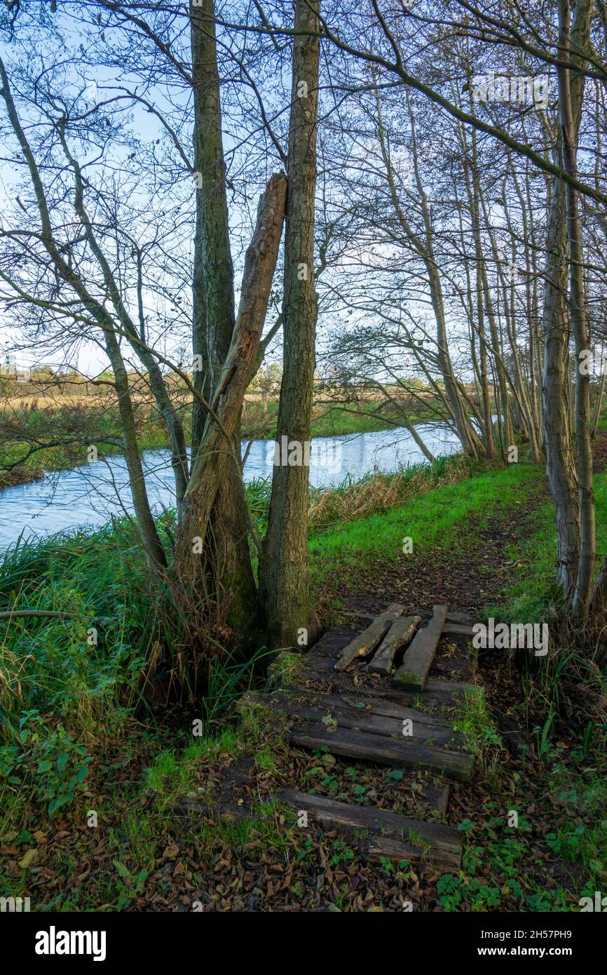 Dilham Canal walk Stock Photo - Alamy