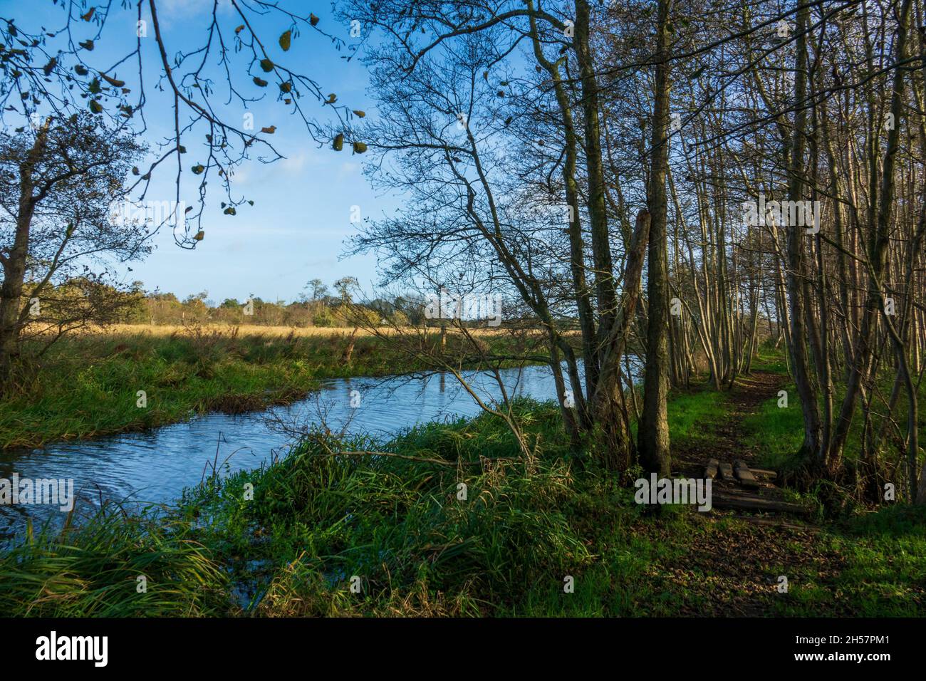 Dilham Canal walk Stock Photo - Alamy
