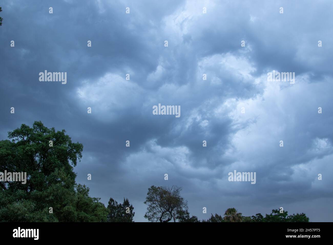 Thunderstorm cloud buildup over the Highveld region of South Africa in ...
