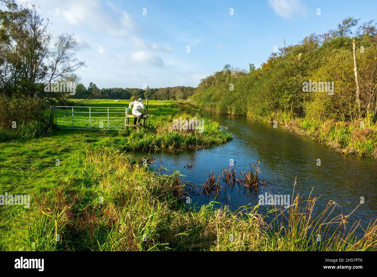 Dilham Canal walk Stock Photo - Alamy