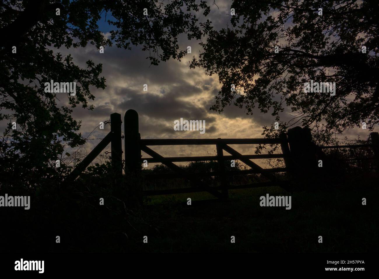 Farm gate, sunset Stock Photo - Alamy