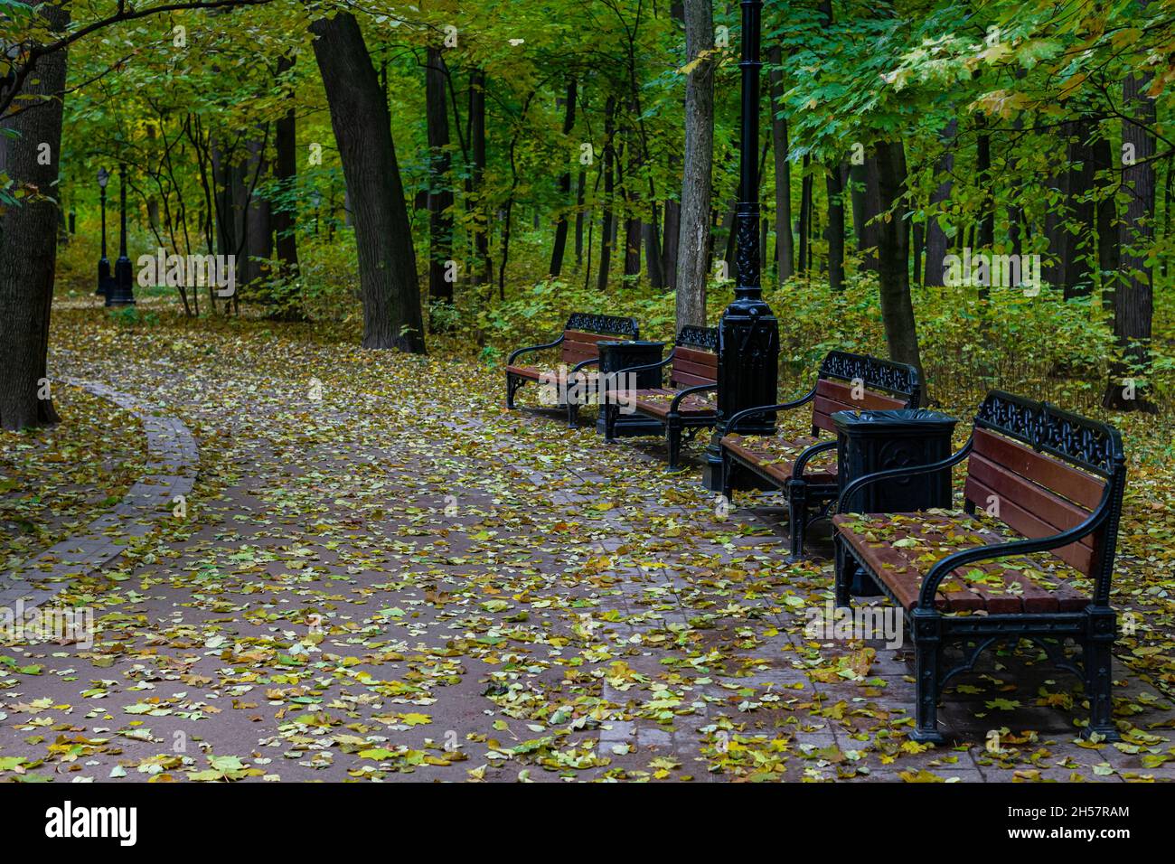 empty benches standing in a row in autumn park Stock Photo - Alamy