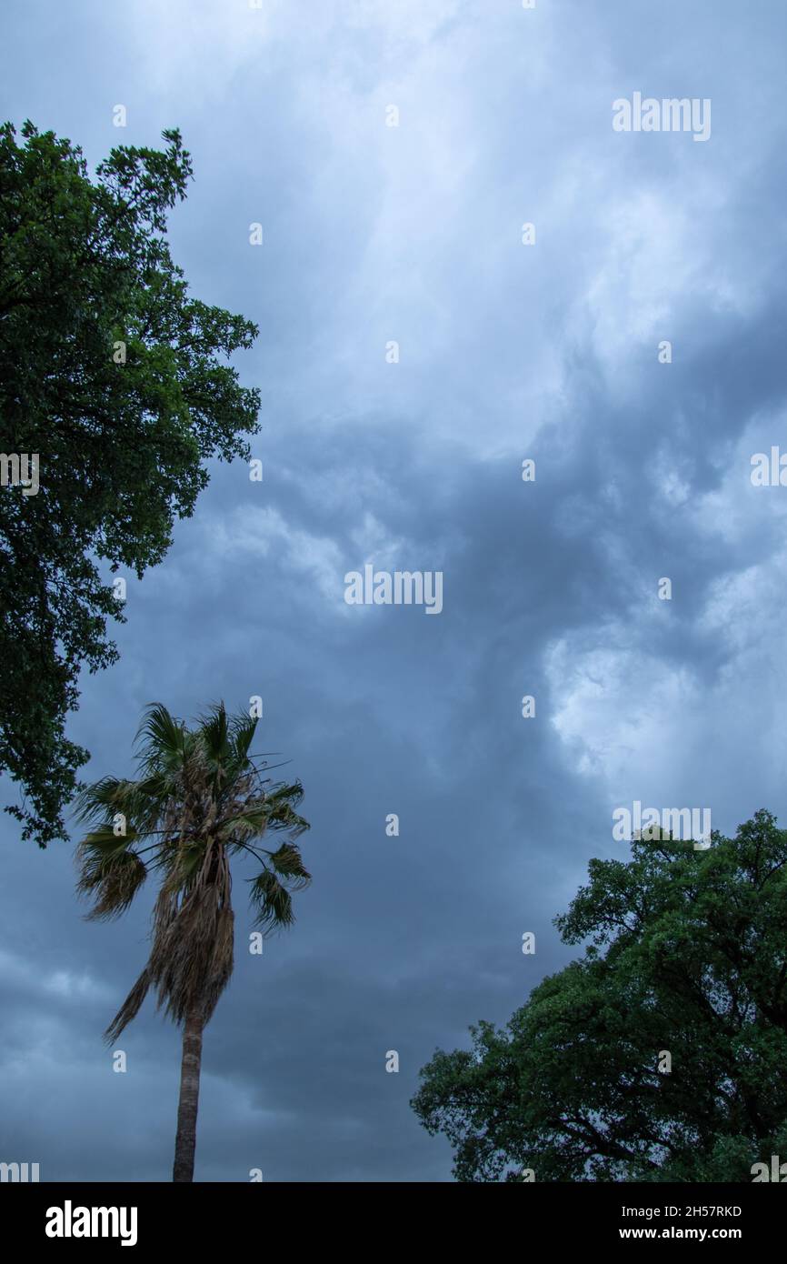 Thunderstorm cloud buildup over the Highveld region of South Africa in ...