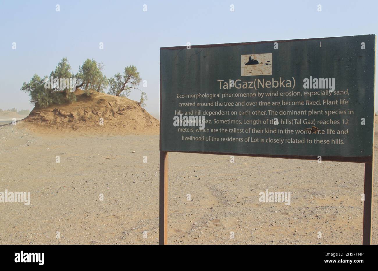 Nebka, Desert Lut Stock Photo - Alamy