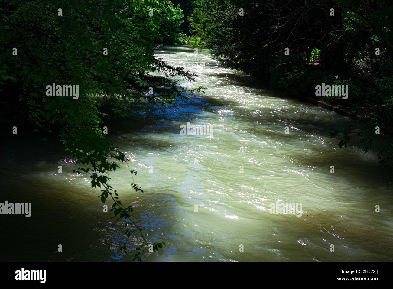 River flowing between green trees . Mountain rapid water . View of ...