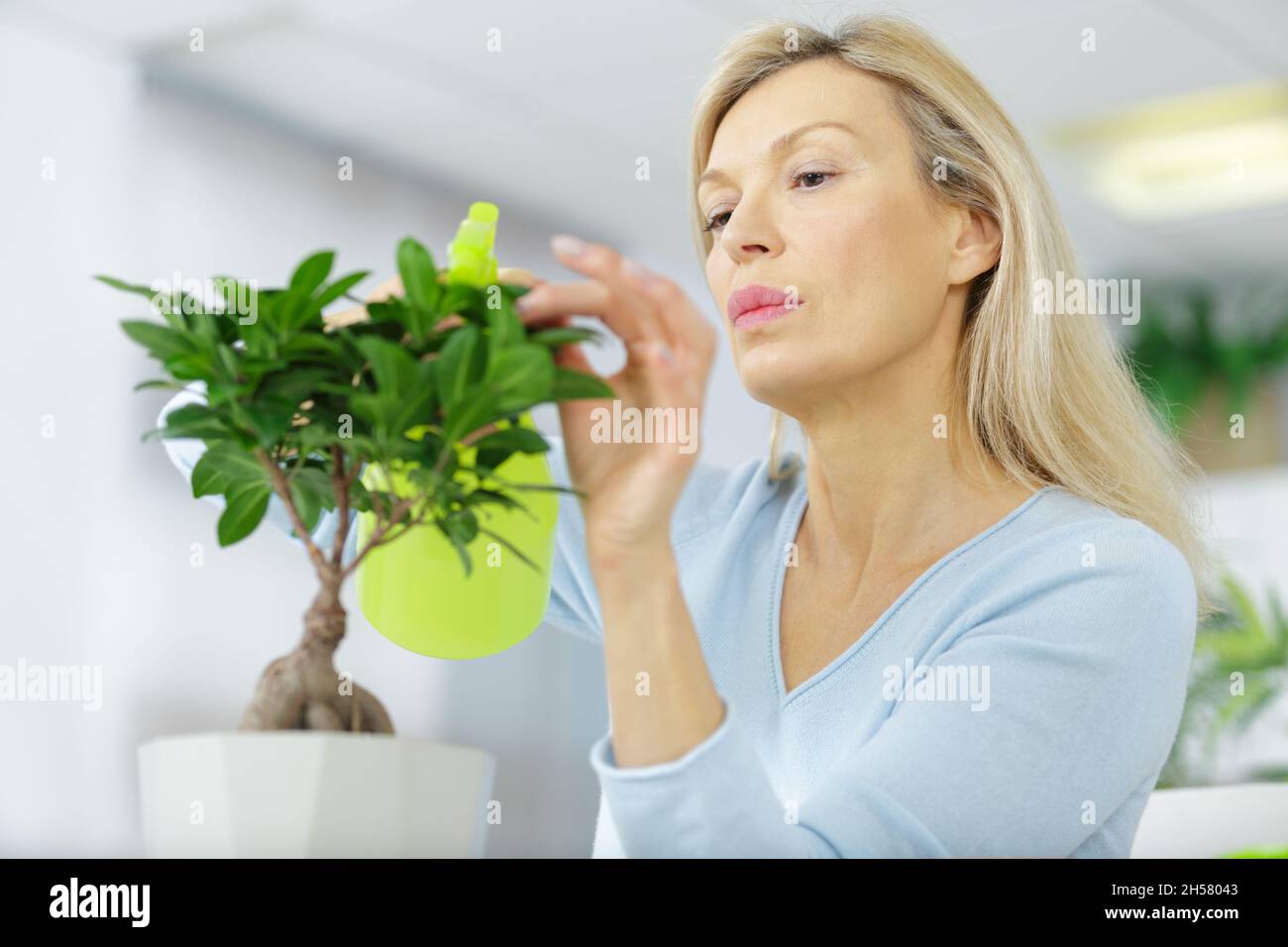 Holding bonsai tree hi-res stock photography and images - Alamy