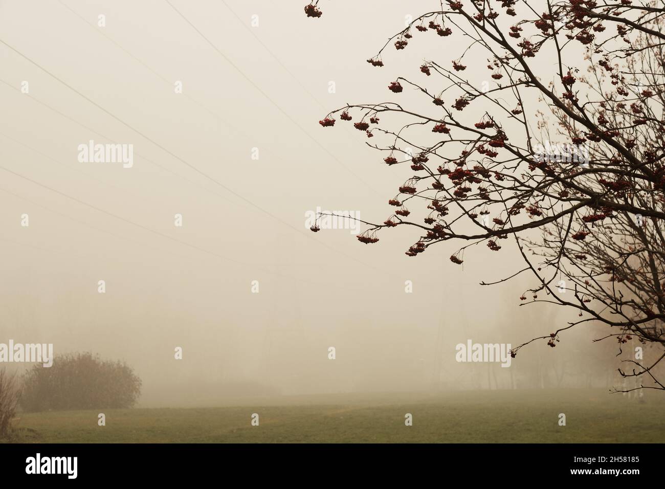 Quality illustration hi-res stock photography and images - Alamy