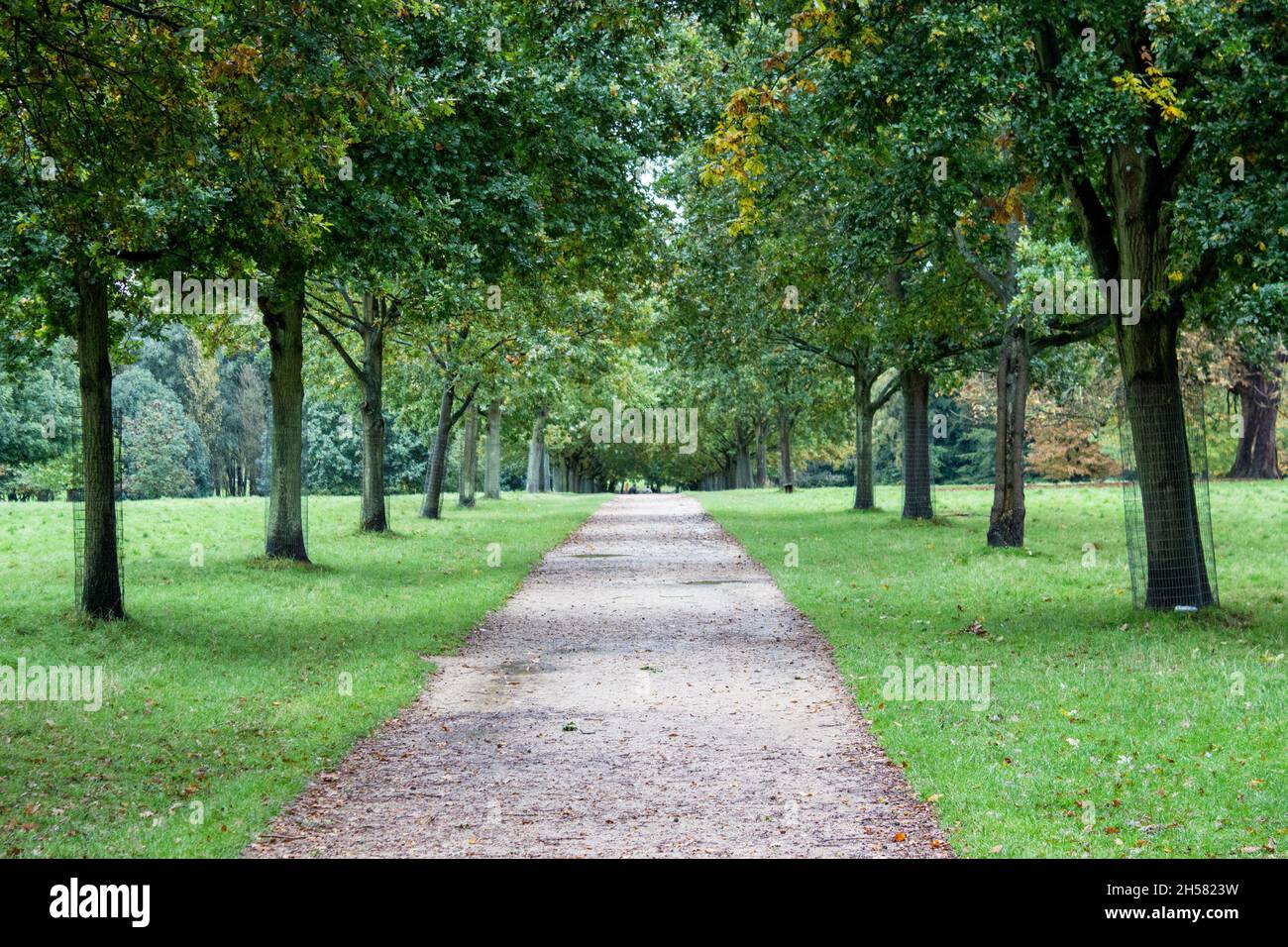 Footpath Leading Away Between Trees, Blossom, Greenery Stock Photo - Alamy
