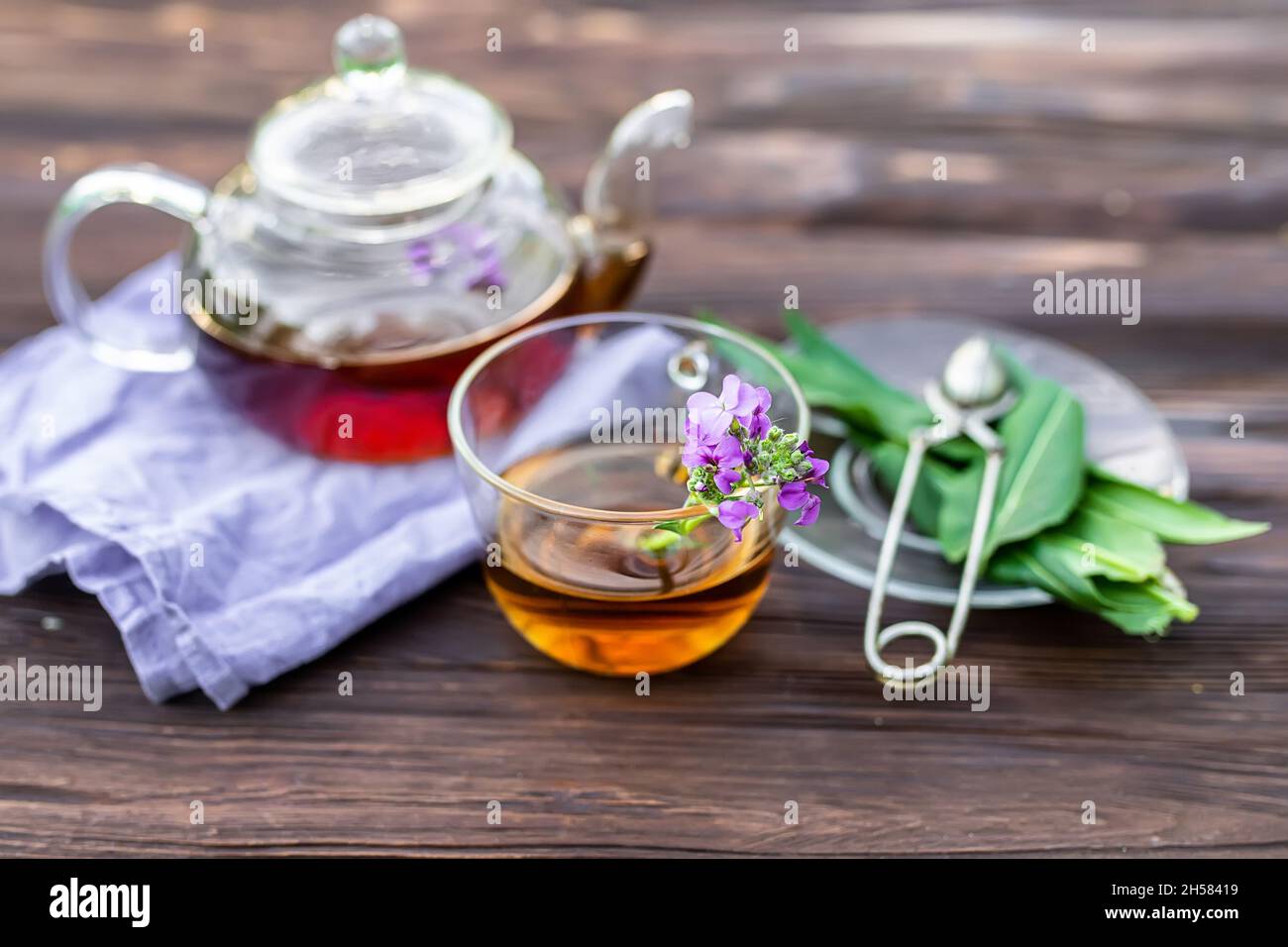 cup of herbal tea with fresh leaves and flowers Matthiola incana ...