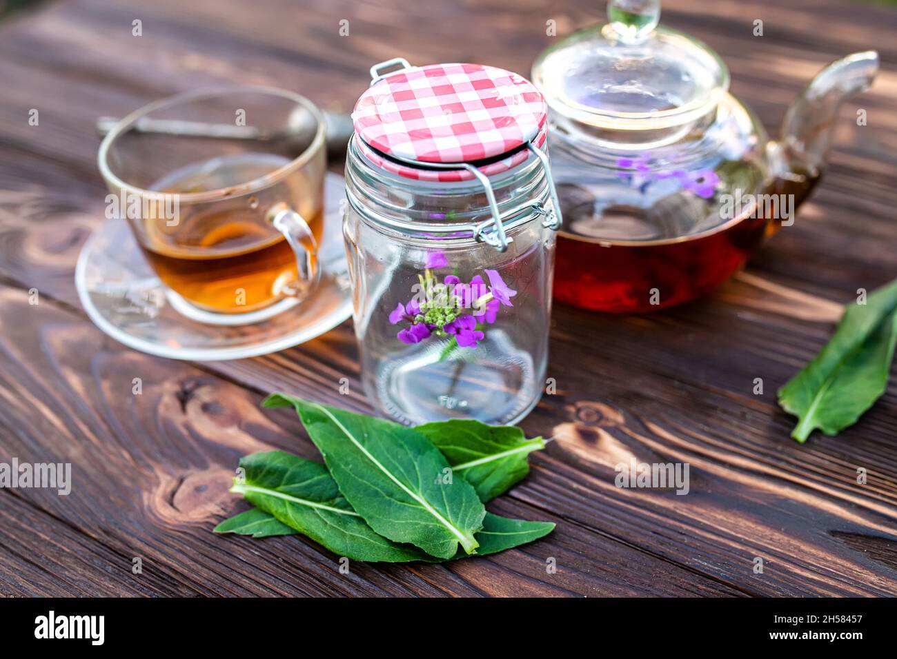 Keeping fresh medicinal herbs in the jar. Matthiola incana, Brompton ...