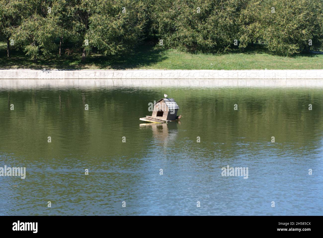 summer in city park at dry sunny day Stock Photo - Alamy