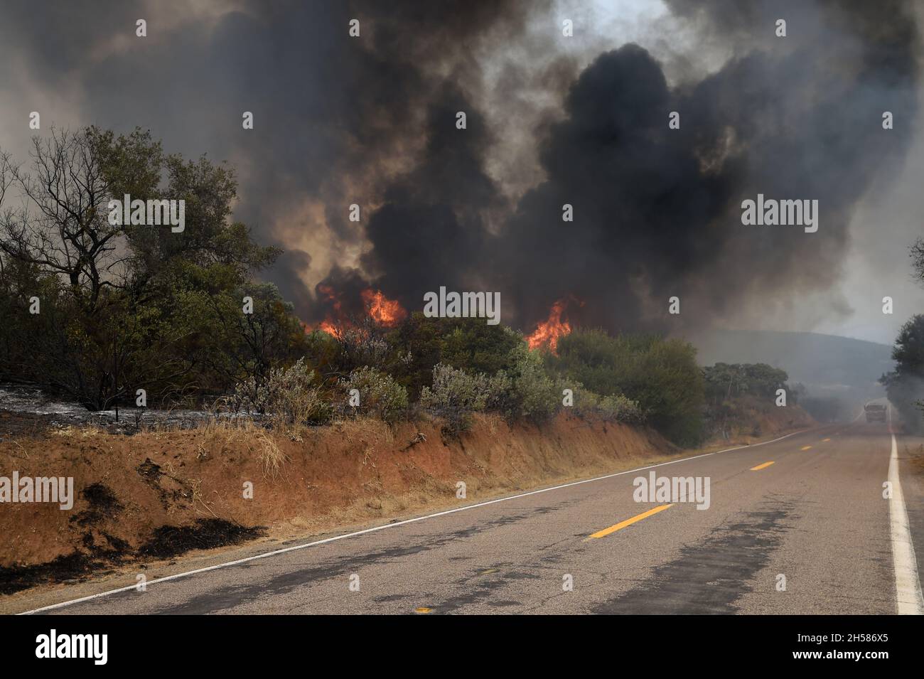 Brush ignites at the Valley Fire wildfire near San Diego, California ...