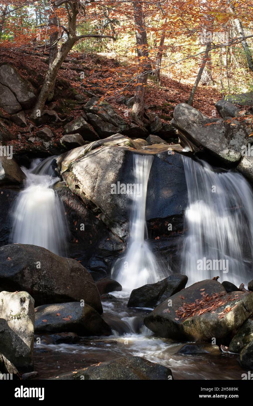 autumn at trap falls in willard brook state forest in ashby ...