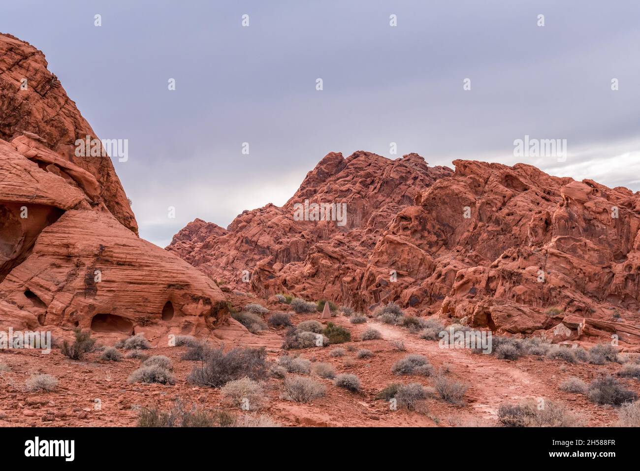 Magnificent red colored rock in the Valley of Fire, Nevada, USA Stock ...