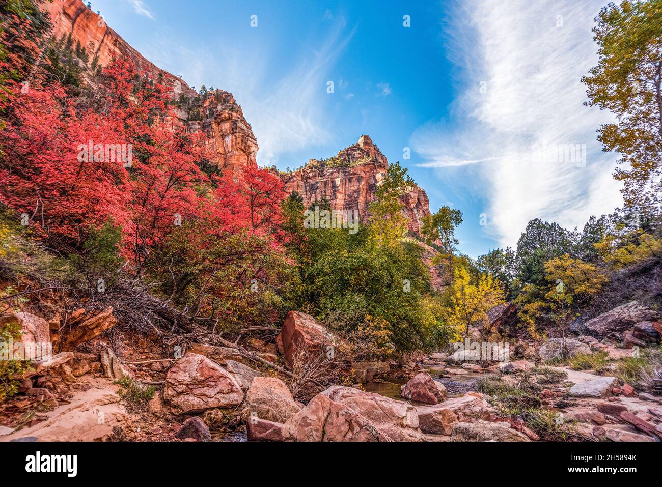 Hiking the Left Fork Trail to the Subway gorge, Zion National Park, USA ...