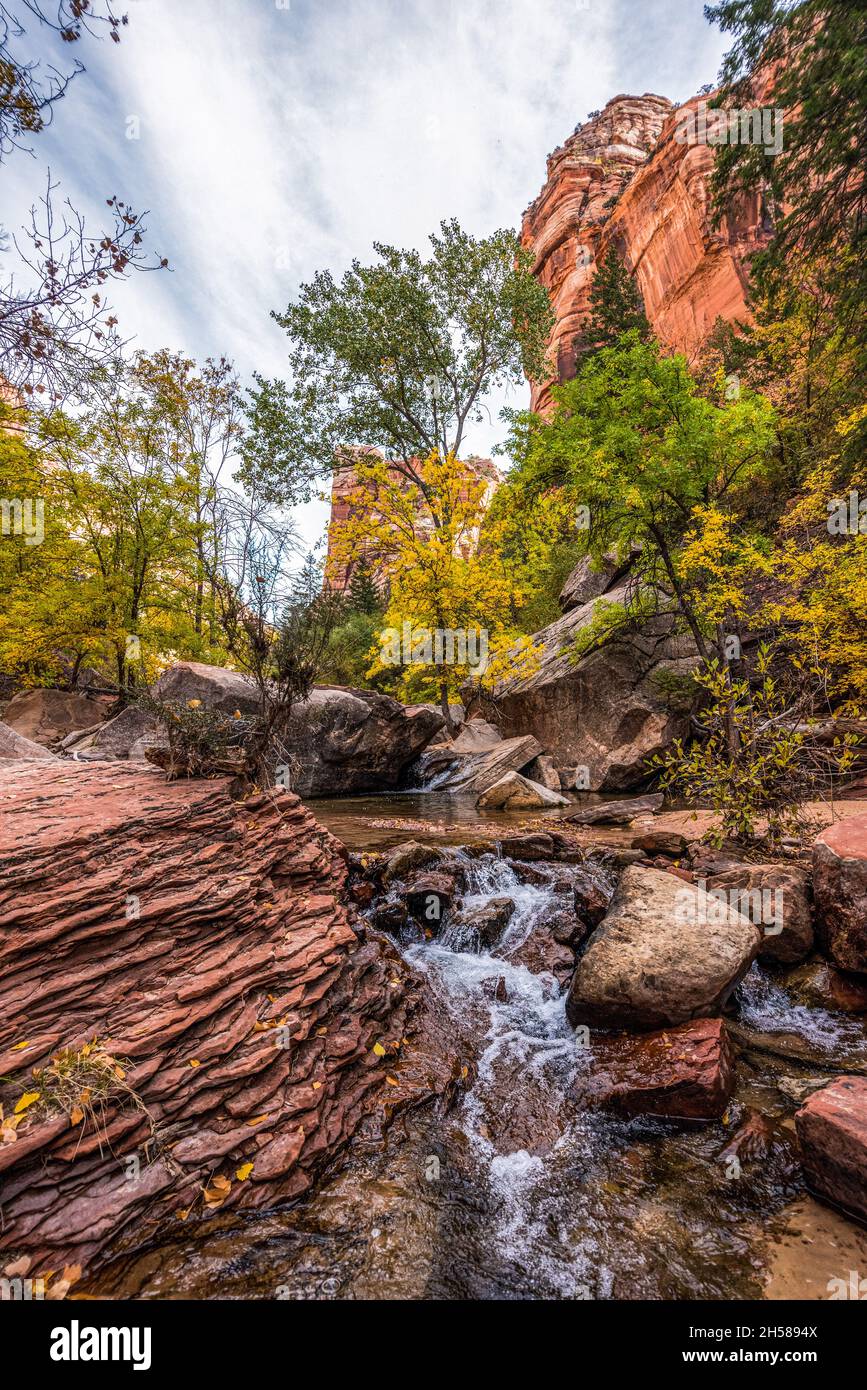 Hiking the Left Fork Trail to the Subway gorge, Zion National Park, USA ...