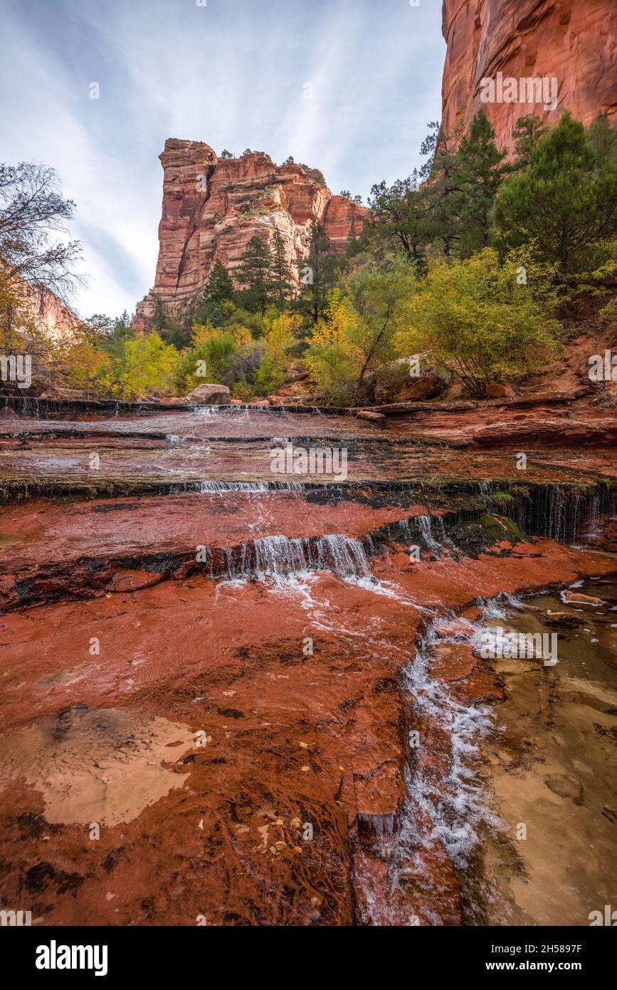 Hiking the Left Fork Trail to the Subway gorge, Zion National Park, USA ...