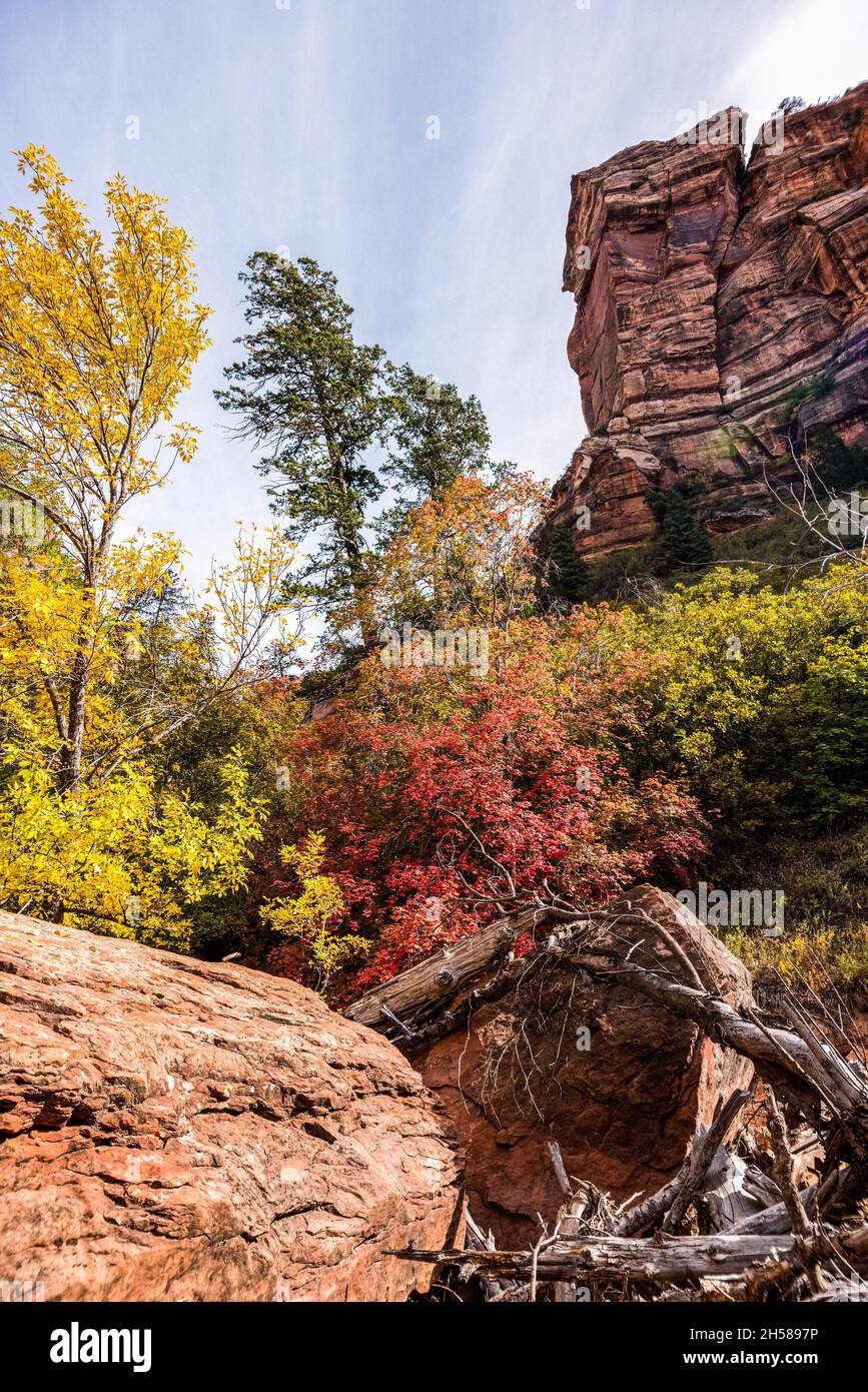 Hiking the Left Fork Trail to the Subway gorge, Zion National Park, USA ...