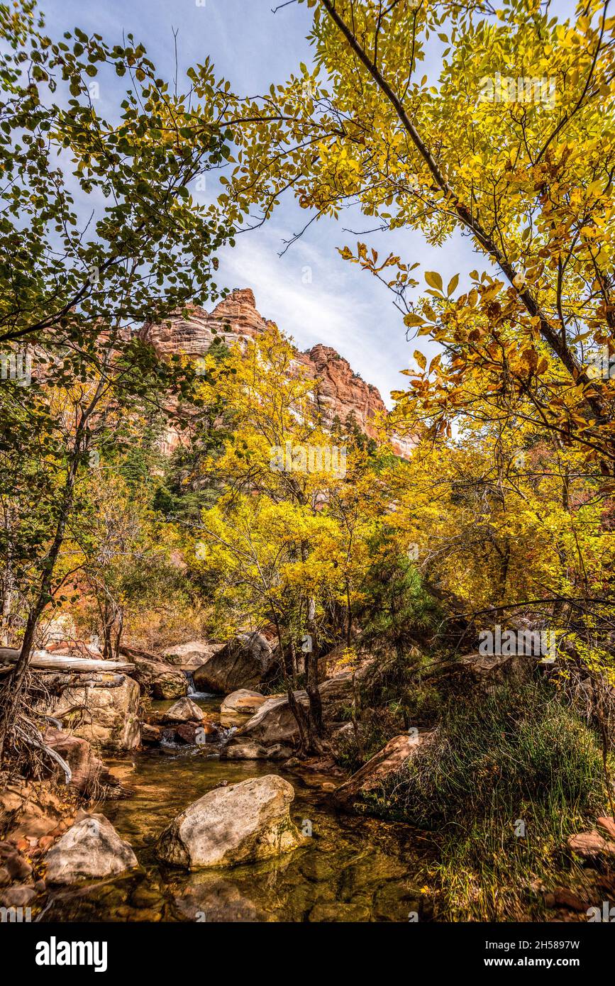 Hiking the Left Fork Trail to the Subway gorge, Zion National Park, USA ...