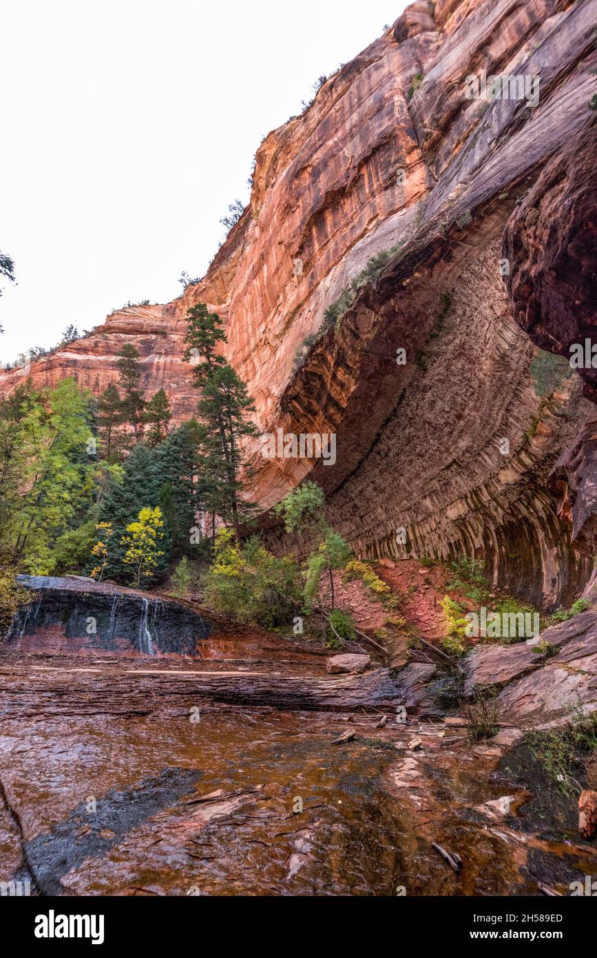 Hiking the Left Fork Trail to the Subway gorge, Zion National Park, USA ...