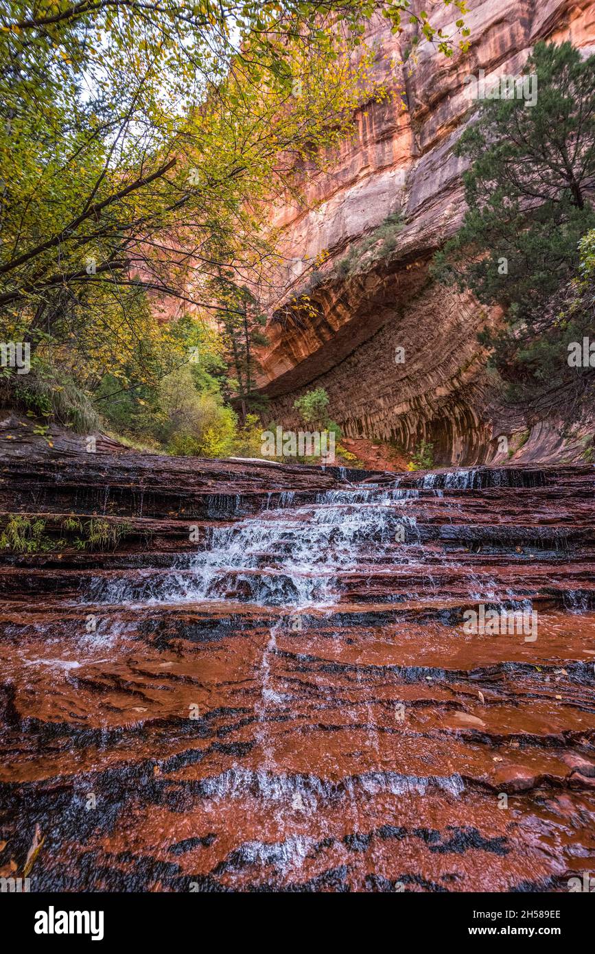 Hiking the Left Fork Trail to the Subway gorge, Zion National Park, USA ...