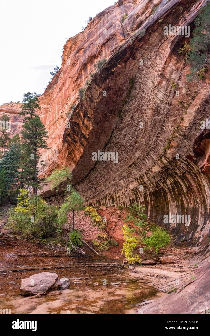 Hiking the Left Fork Trail to the Subway gorge, Zion National Park, USA ...