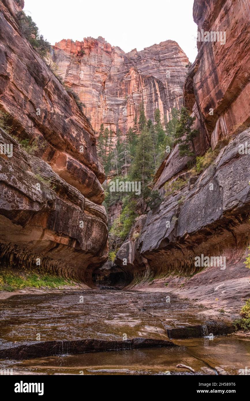 Magnificent Subway gorge landmark in the Zion National Park in Utah ...