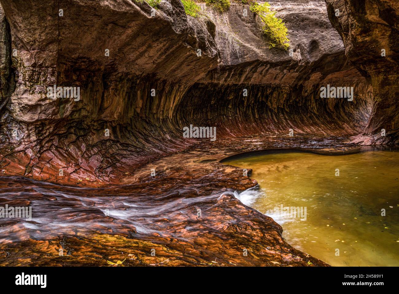 Magnificent Subway gorge landmark in the Zion National Park in Utah ...