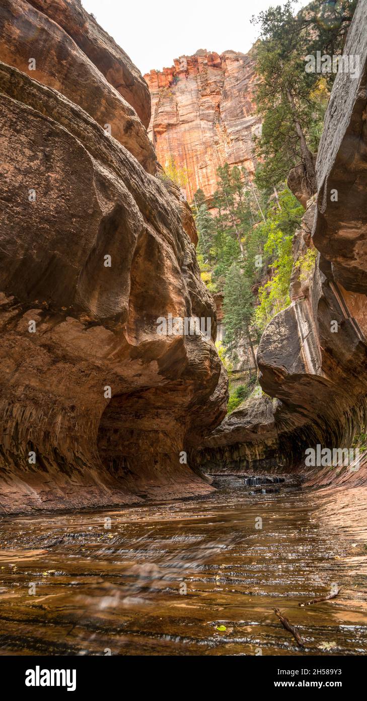 Magnificent Subway gorge landmark in the Zion National Park in Utah ...