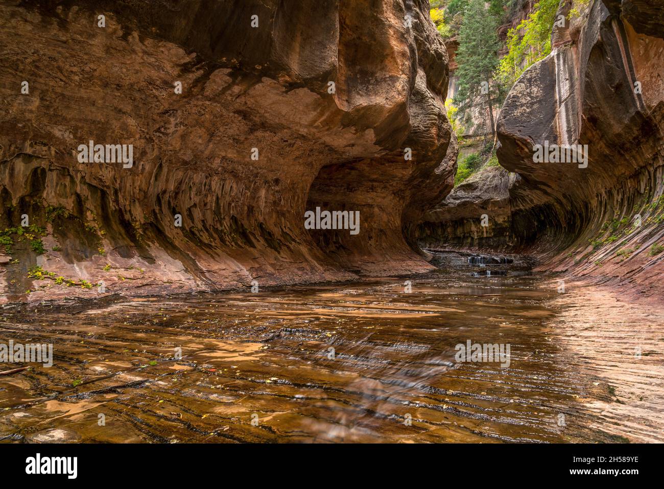 Magnificent Subway gorge landmark in the Zion National Park in Utah ...