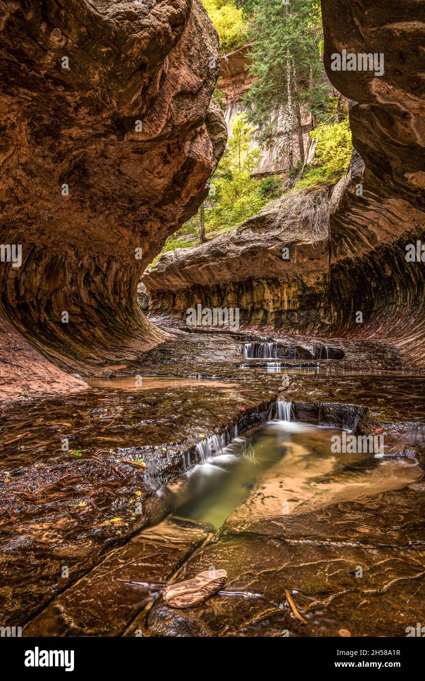 Magnificent Subway gorge landmark in the Zion National Park in Utah ...