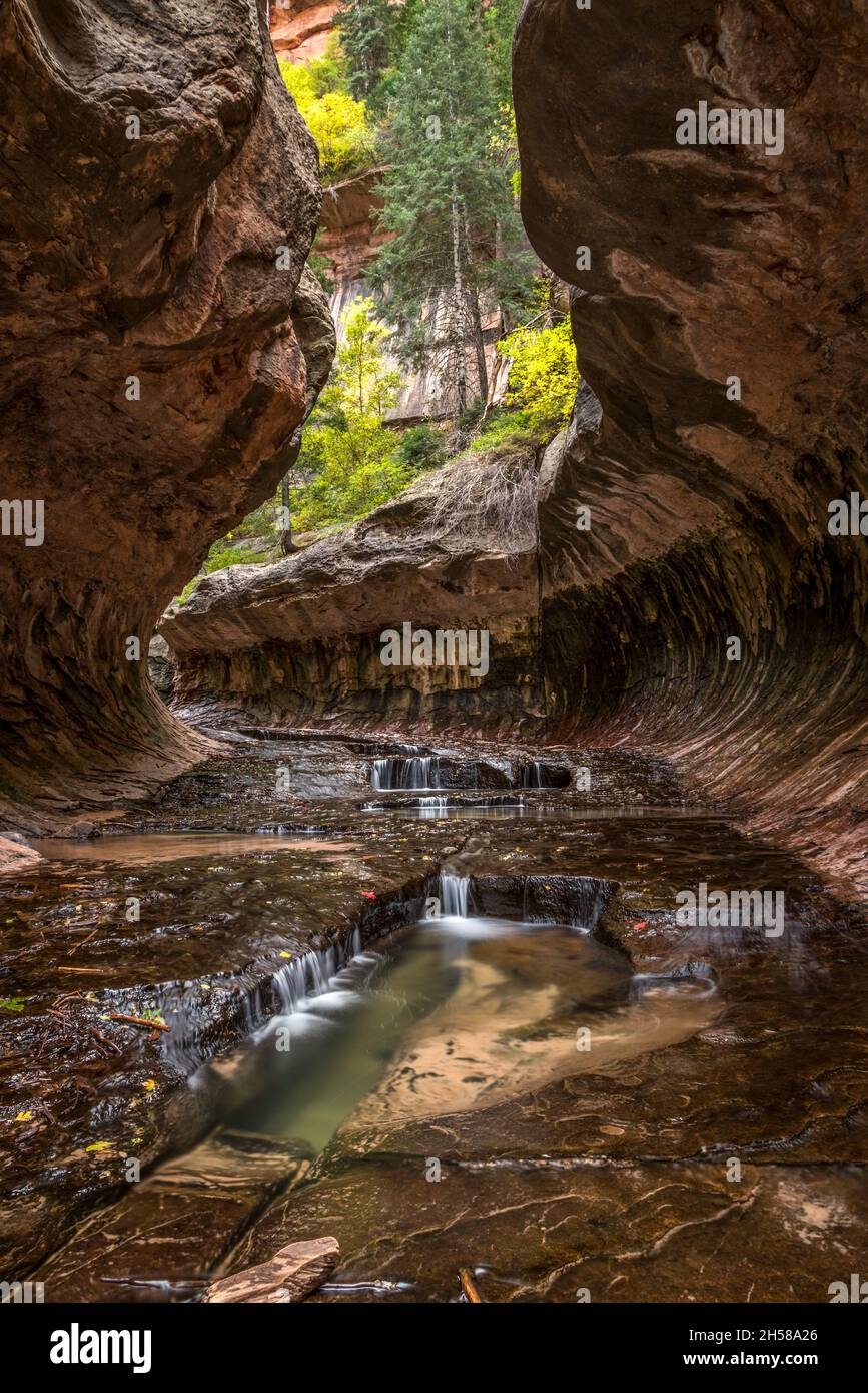 Magnificent Subway gorge landmark in the Zion National Park in Utah ...