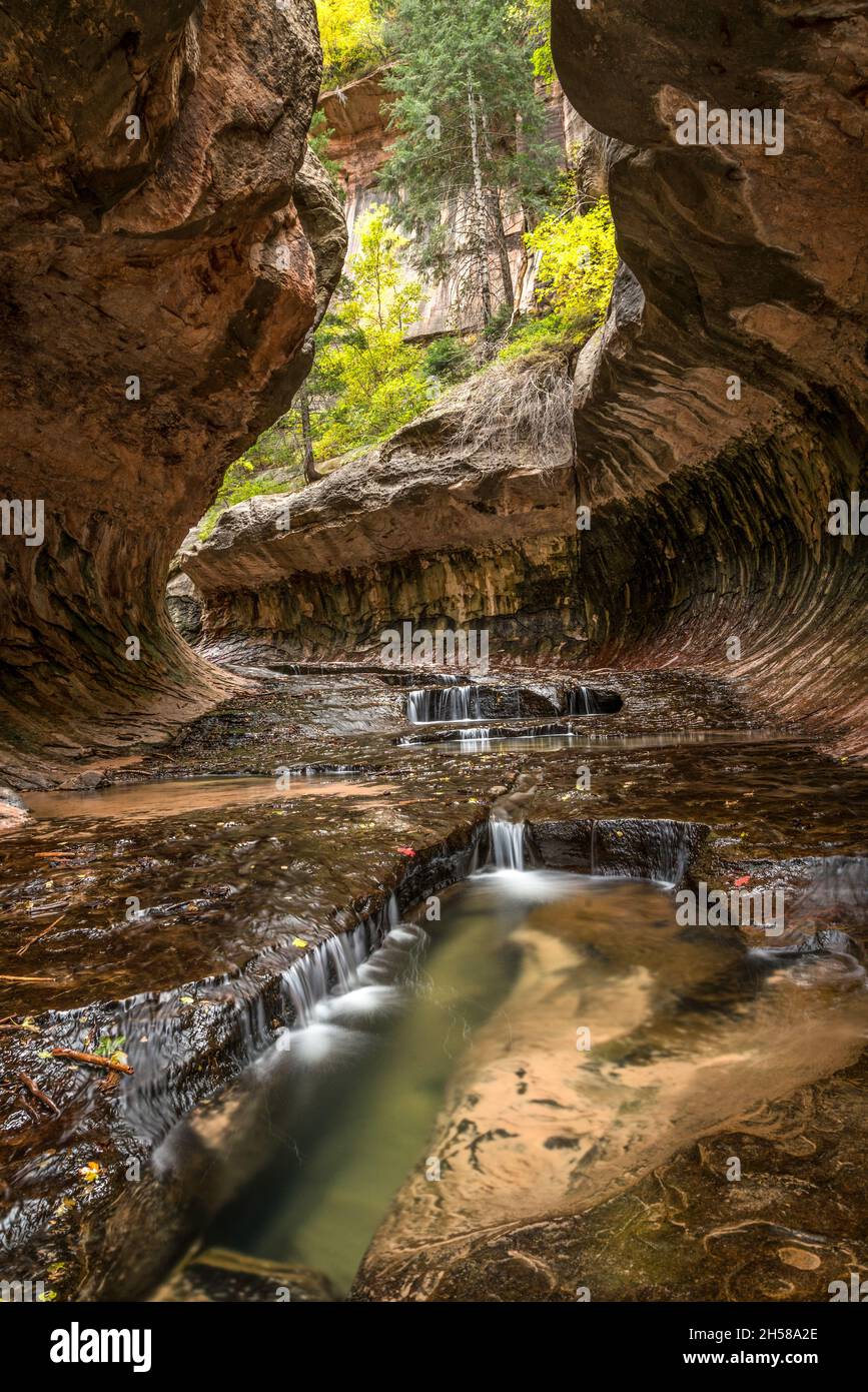 Magnificent Subway gorge landmark in the Zion National Park in Utah ...