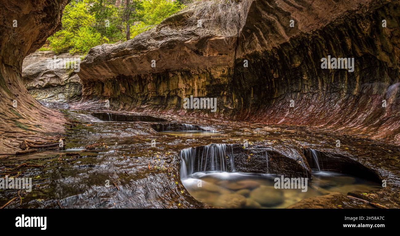 Magnificent Subway gorge landmark in the Zion National Park in Utah ...