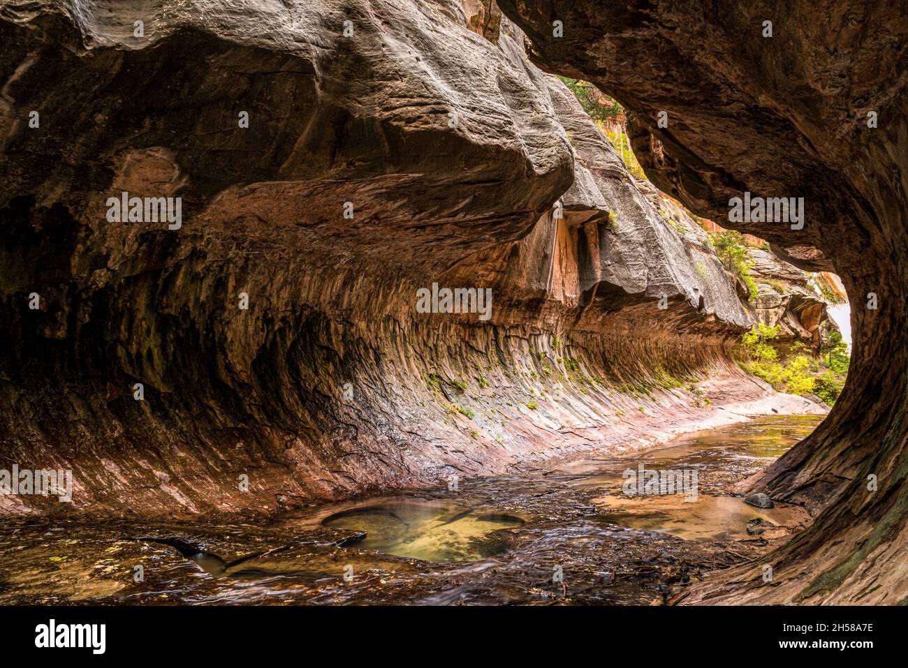 Magnificent Subway gorge landmark in the Zion National Park in Utah ...